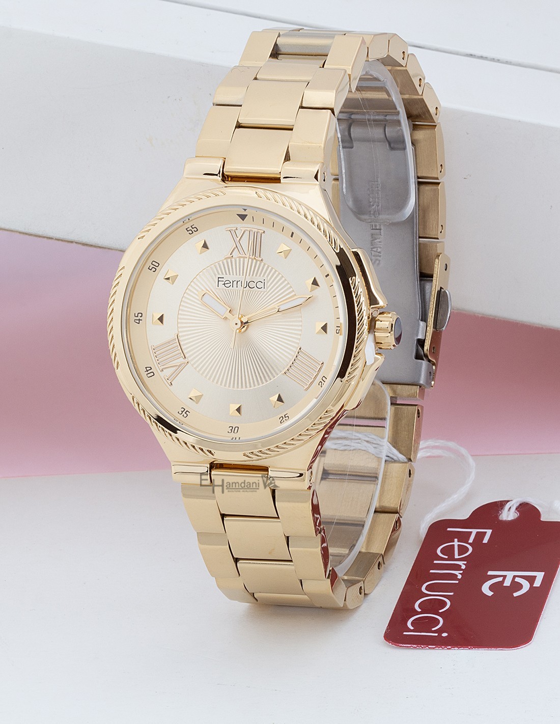 Ferrucci Montre Femme FC.13624M-01